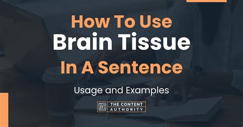 How To Use Brain Tissue In A Sentence Usage And Examples