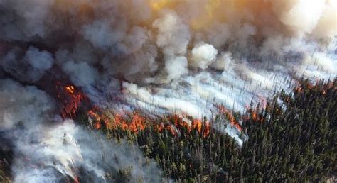 Wildfire And Its Causes