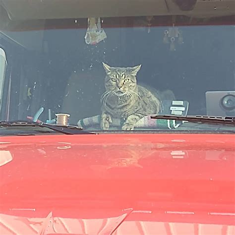 Olaf Being Fierce Imgur