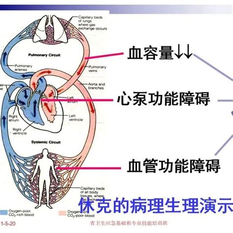 【ppt】创伤性休克的紧急救治，再详细不过了！市一医