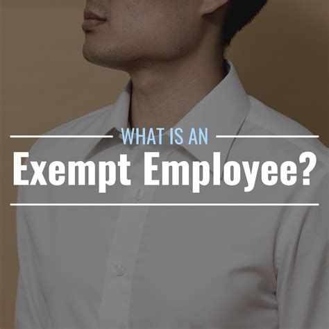 What Is An Exempt Employee Definition Requirements Pros And Cons Thestreet
