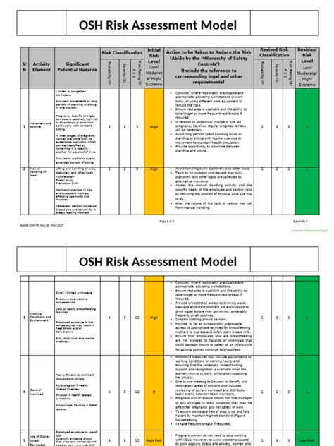 Risk Assesment New And Expectant Mother Pdf Infection Pregnancy