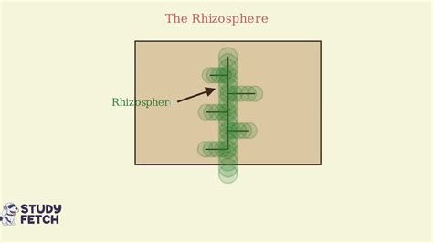 Simple Diffusion Explained Biology Notes Online Simple Diffusion Explained Biology Notes Online