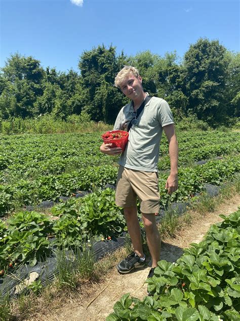 Tw Pornstars Zach Astor Twitter Went Strawberry Picking 459 Pm
