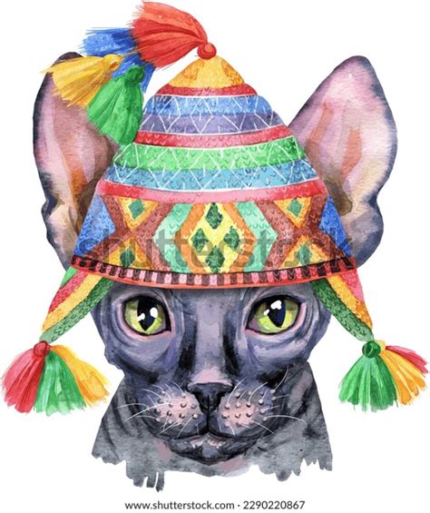 Cute Cat Peruvian National Chulo Hat Stock Illustration 2290220867