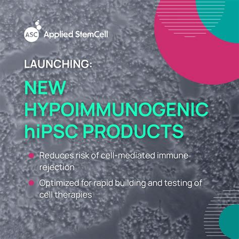 Applied Stemcell Launches New Hypoimmunogenic Hipsc Products Applied