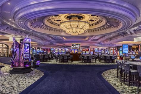 What Time Is Check In At Park Mgm At Tina Kemp Blog