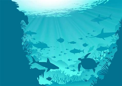 Ocean Background Vector Illustration