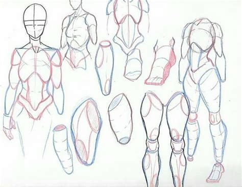 Human Anatomy Drawing Ideas And Pose References Beautiful Dawn