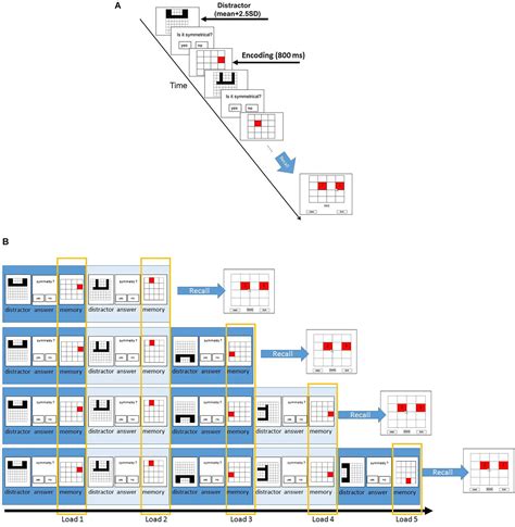 Frontiers Revealing The Electrophysiological Correlates Of Working