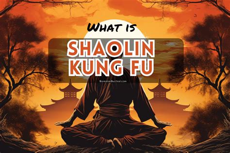 Shaolin Kung Fu For Beginners: An Ultimate Guide! (2025)