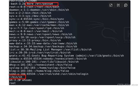 Suid提权教程 Csdn博客