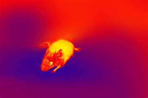 Bolometer Bilder Bläddra Bland 656 Stockfoton Vektorer Och Videor