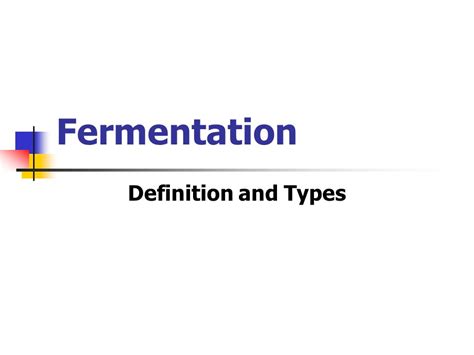 Fermentation Definition