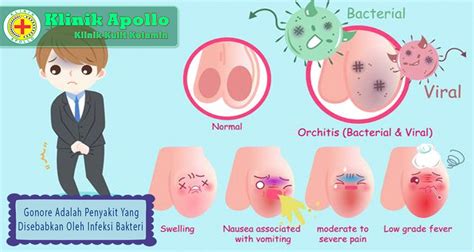 Gonore Disebabkan Oleh Infeksi Bakteri Apa Klinik Apollo Jakarta