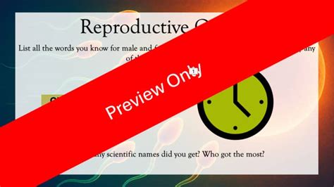Human Reproductive System Structure Function Gametogenesis Hormones
