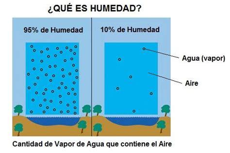 Humedad ¿qué Es Tipos Cómo Medirla Y Mucho Más