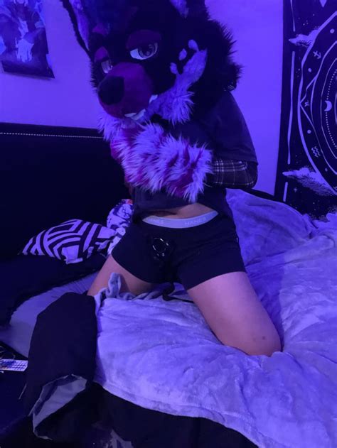 I Got Bored So Heres Some Paws Uwu R Mursuit