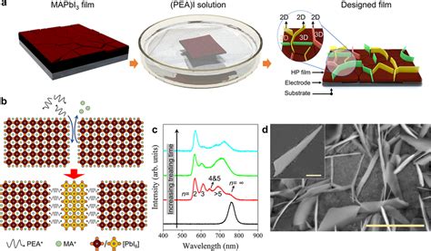 Isolating 3d Hp Grains By 2d Hp Platelets A Schematic Diagram Of The Download Scientific