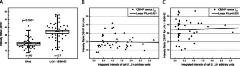 Concentration Of U4 Snrna In The Cb Versus Nucleoplasm A Relative