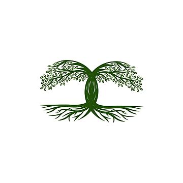 Tree Roots Logo Vector HD Images