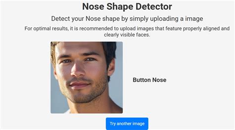 Free Nose Shape Detectors What Type Of Nose Do I Have