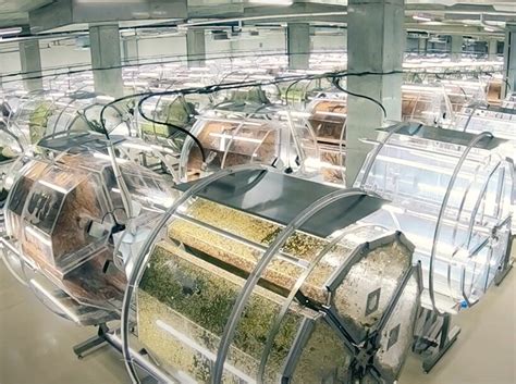 Super Sprout Factory A Completely Artificial Light Type Plant Opens In