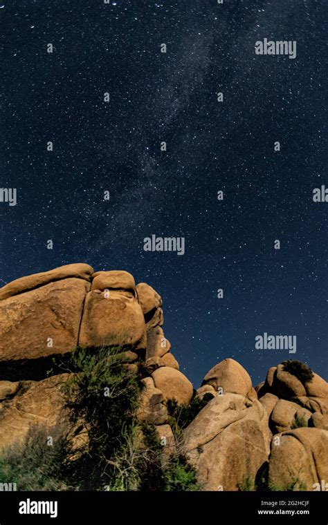 The Night Sky Peppered With Thousands Of Stars Over Joshua Tree In