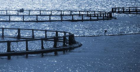 Global Gap Certificering • Læs Om Fordelene Ved Denne Standard