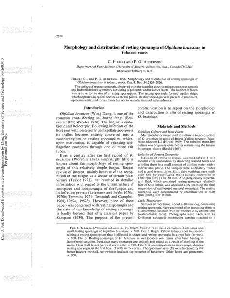 Pdf Morphology And Distribution Of Resting Sporangia Of Olpidium Brassicae In Tobacco Roots