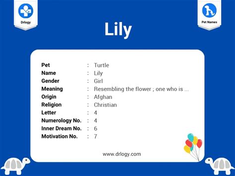 Lily Name Meaning