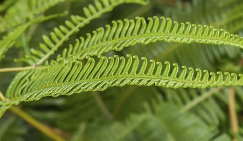 Kl East Park Sime Darby Property