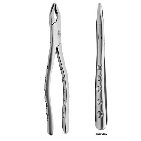 Extraction Forceps For Upper Anterior At Alexander Hickson Blog