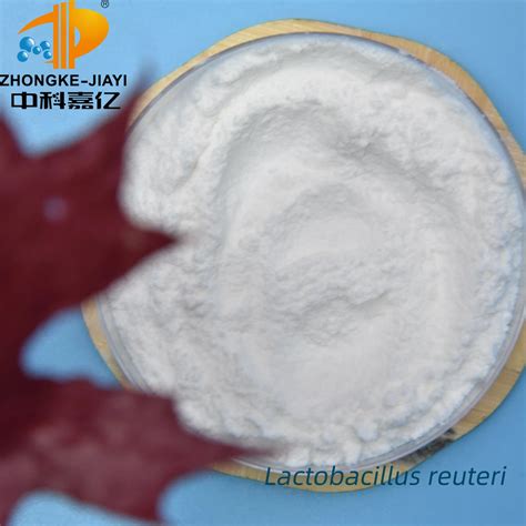 High Activity Lactobacillus Reuteri Probiotics For Ulcerative Colitis Treatment Lactobacillus