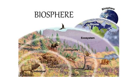 Biospherepptx
