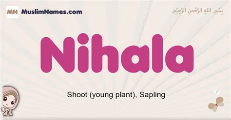 Nihala Meaning Arabic Muslim Name Nihala Meaning