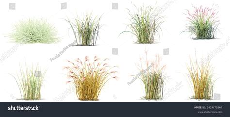 Architectural Grass Over 96956 Royalty Free Licensable Stock Illustrations And Drawings