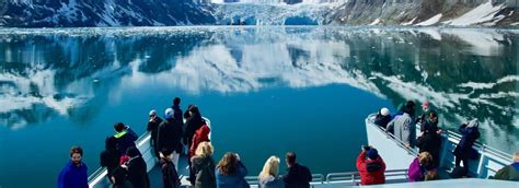 26 Glaciers Cruise And Anchorage Transfer Cruise Tour