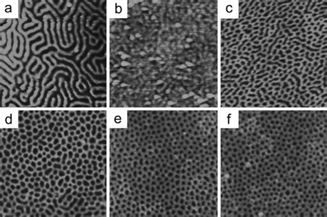 Surface Independent Vertical Orientation Of Cylindrical Microdomains In Block Copolymer Thin