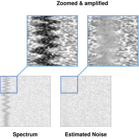 Segmentation Masks Are Converted To Boxes For Signal Predictions