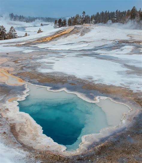Winter In Yellowstone — Paul Klenck Photography