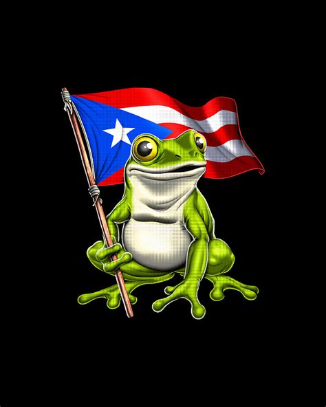 Coqui Frog Puerto Rico Flag Digital Art By Nikolay Todorov Pixels Merch