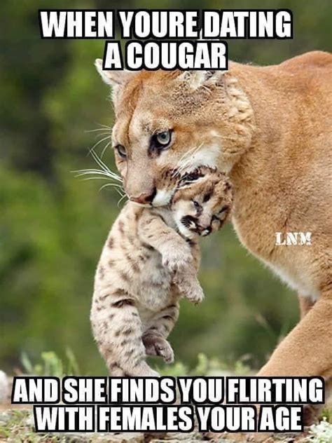 Coug Memes Cougar Memes And S Imgflip