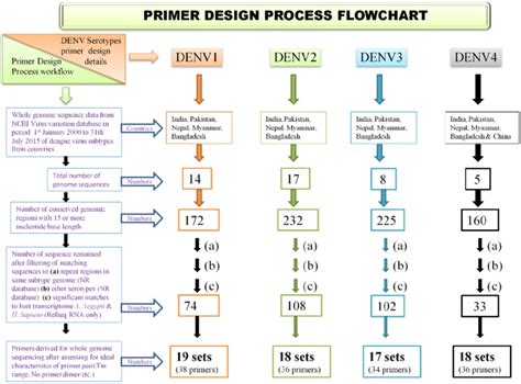 Primer Design Process Flow Chart Download Scientific Diagram