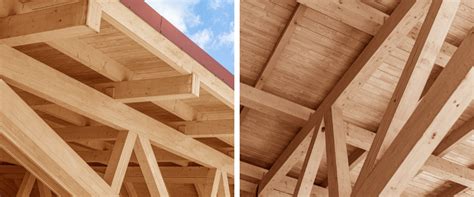 5 Especies De Madera Ideales Para Uso Estructural Maderea
