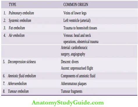 Embolism Classification Notes Anatomy Study Guide