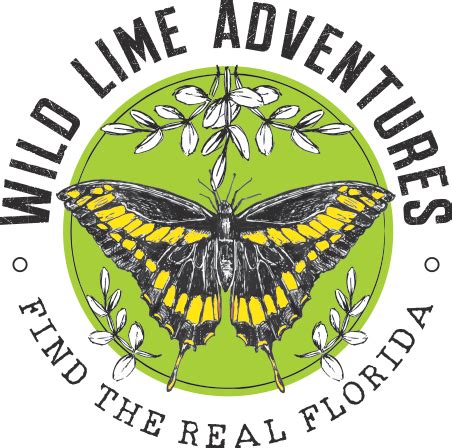 Visit The Dry Tortugas Wild Lime Adventures