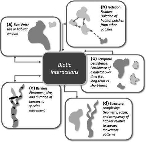 Five Major Types Of Landscape Structures That Interplay With Biotic Download Scientific Diagram