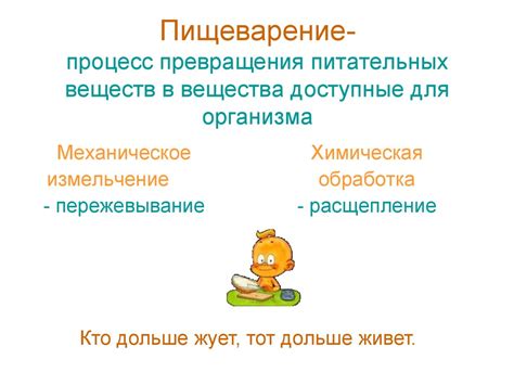 Пищевые продукты Питательные вещества и их превращение презентация