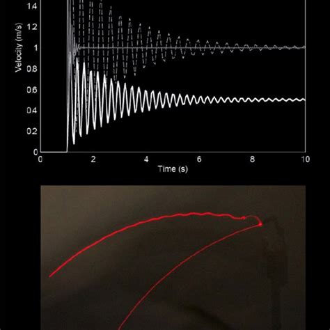 Scanning Electron Microscopy Images Detail A Typical Silk Cocoon And Download Scientific